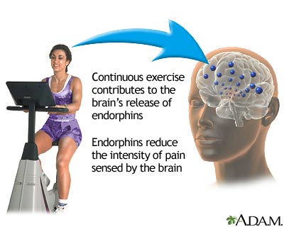How endorphins make you feel better after an exercise - Chandler Sports